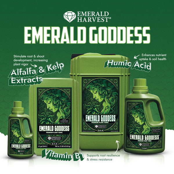 Emerald Goddess: Unlock Maximum Growth Potential