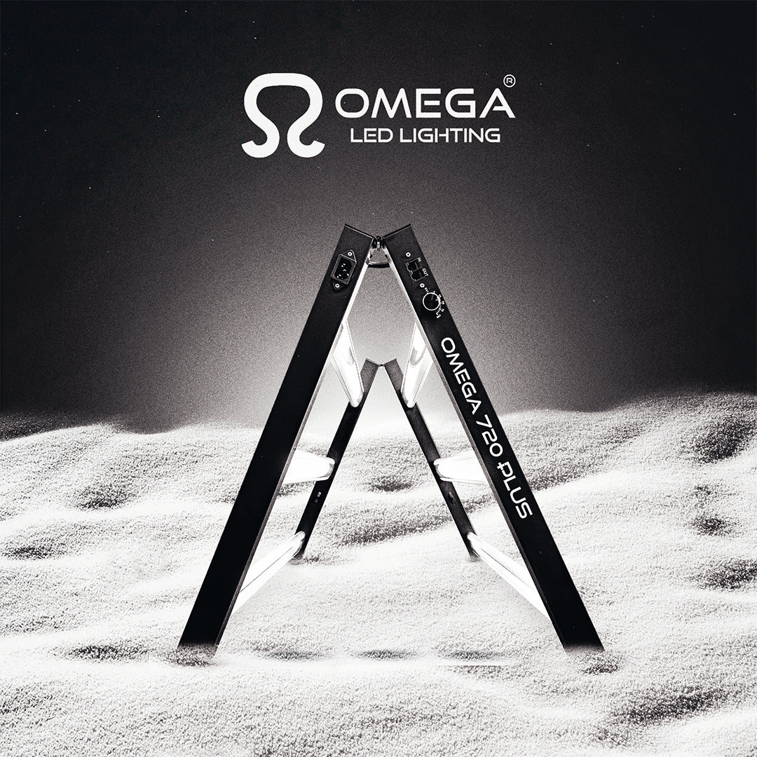 Omega 720 Plus LED: Q&A with Rep Cris