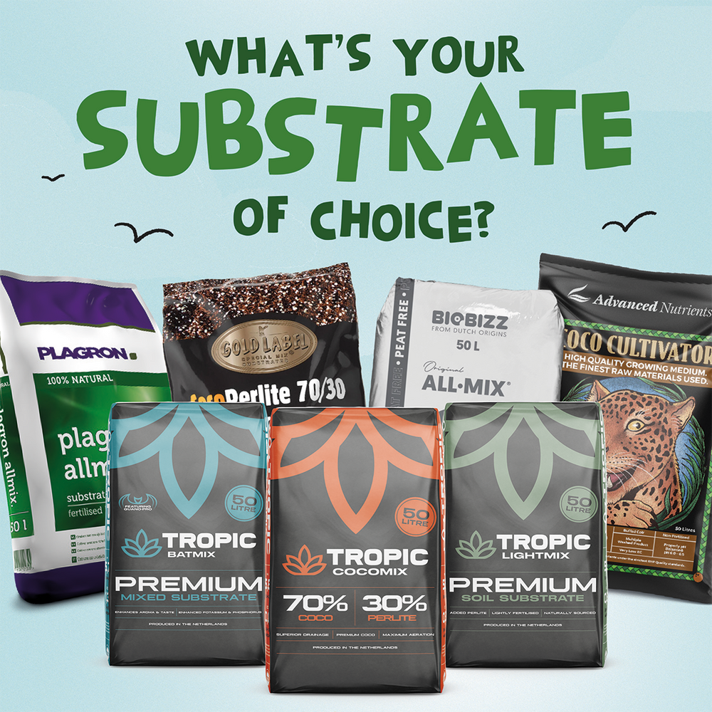 What's Your Substrate of Choice? Soil, Coco, Hydro & More